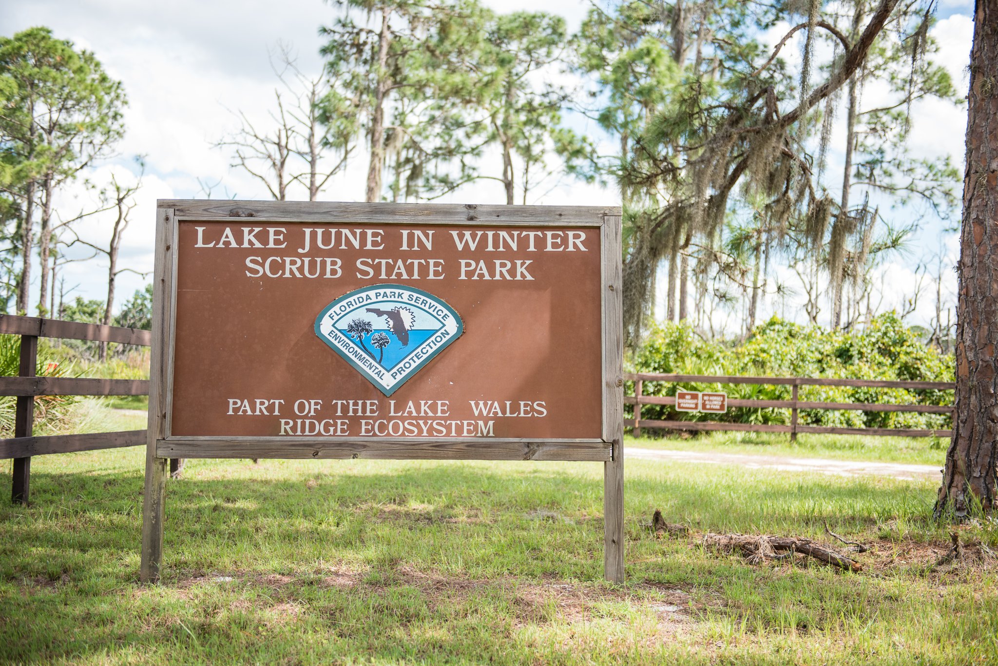 Lake June-in-Winter Scrub State Park | Visit Sebring Florida