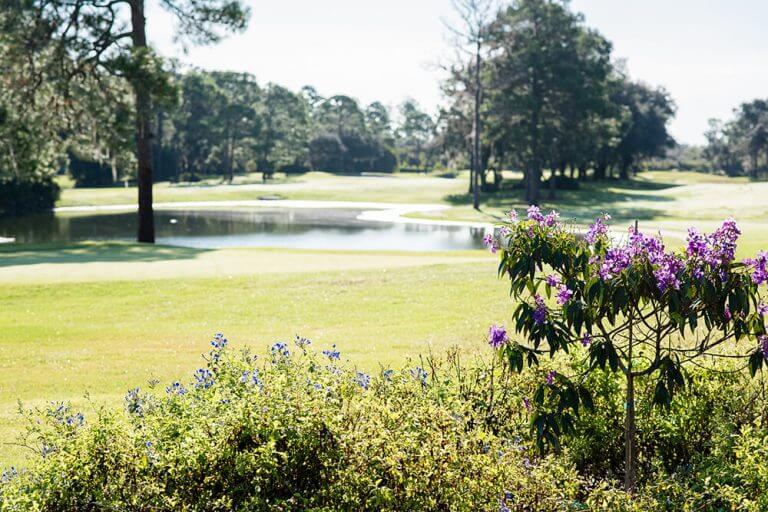 Golf Courses in Sebring, Avon Park & Lake Placid, FL