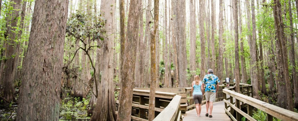 Top 14 Things To Do Around Sebring, Florida | Visit Sebring, Florida