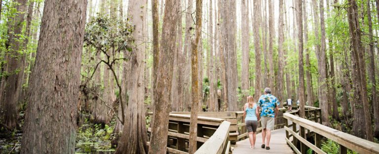 Top 14 Things To Do Around Sebring, Florida | Visit Sebring, Florida