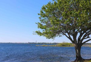 Top 14 Things To Do Around Sebring, Florida | Visit Sebring, Florida