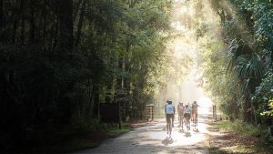 Top 14 Things To Do Around Sebring, Florida | Visit Sebring, Florida