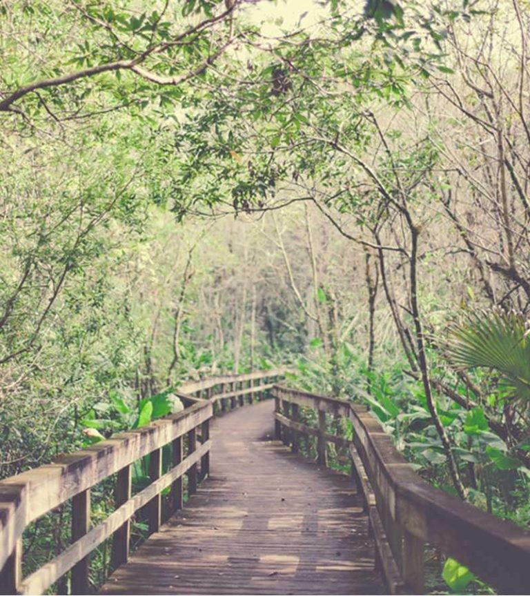 Top 14 Things To Do Around Sebring, Florida | Visit Sebring, Florida