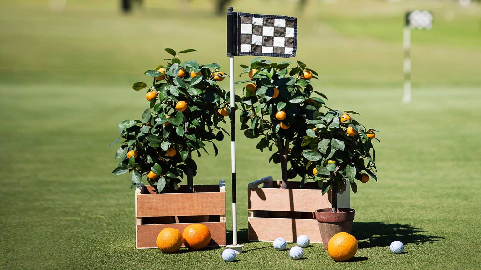 Top 14 Things To Do Around Sebring, Florida | Visit Sebring, Florida