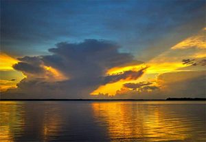 Top 14 Things To Do Around Sebring, Florida | Visit Sebring, Florida