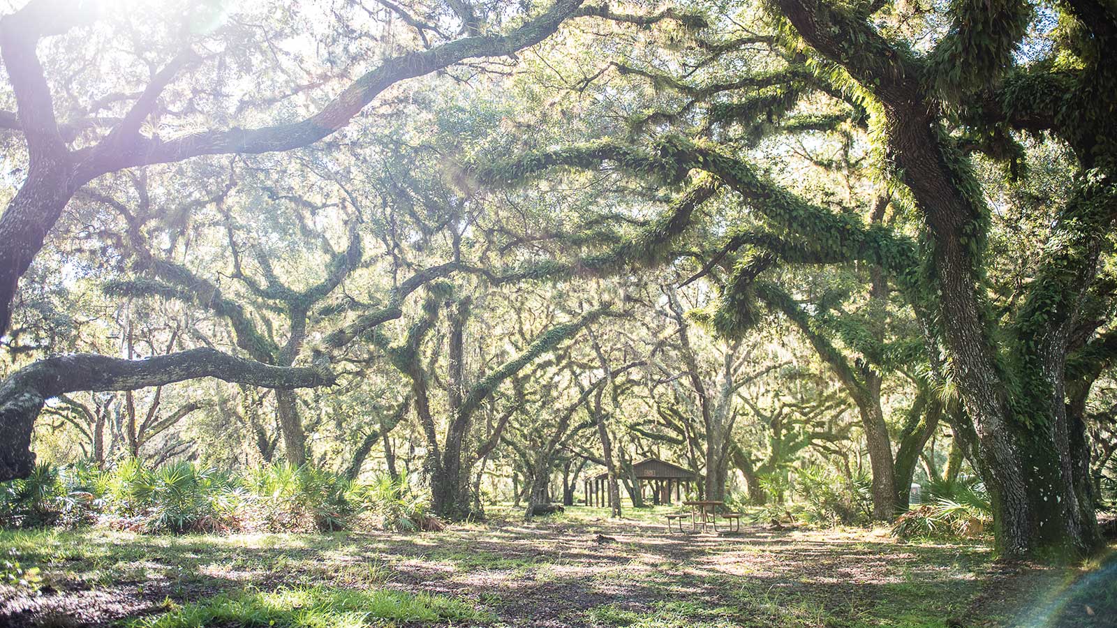 Pace Yourself | Visit Sebring, Florida