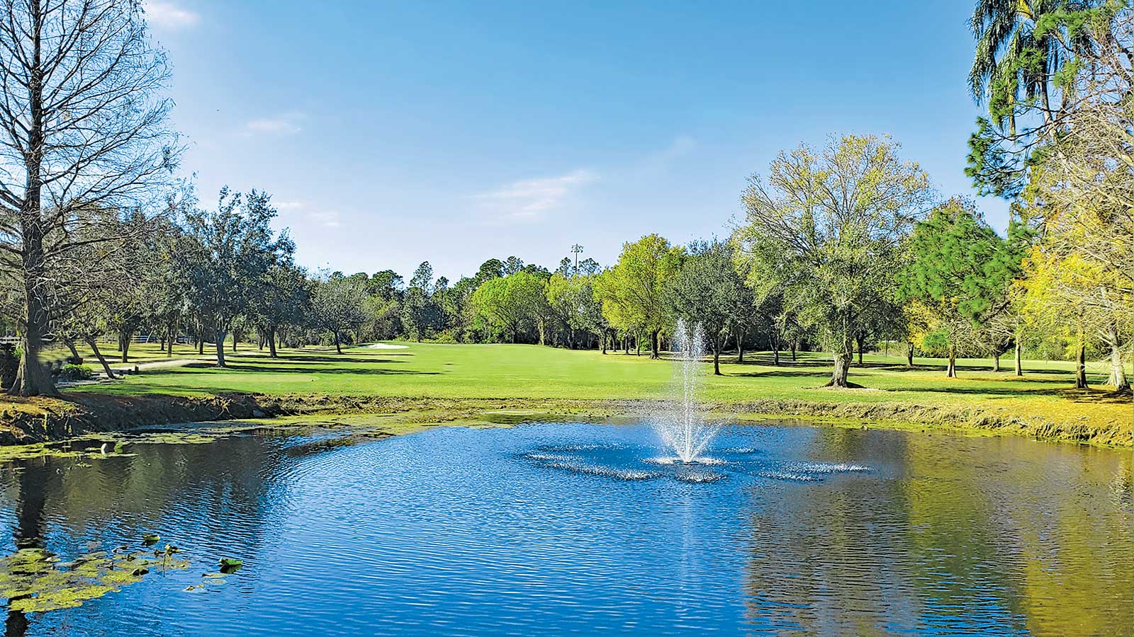 Explore the Citrus Golf Trail: Top Courses in Sebring, FL