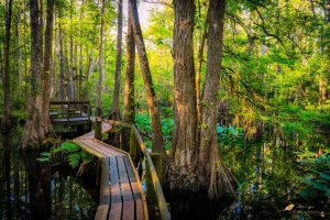 Top 10 Things To Do in Sebring, Florida | Visit Sebring