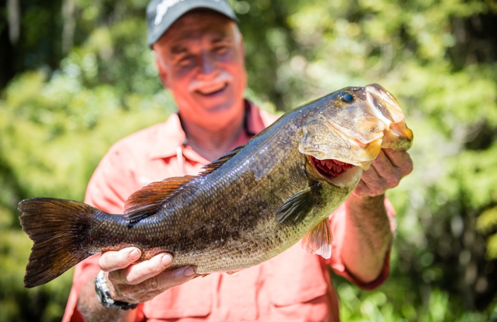 Visit Sebring, FL: Attractions, Hotels, Events, Restaurants