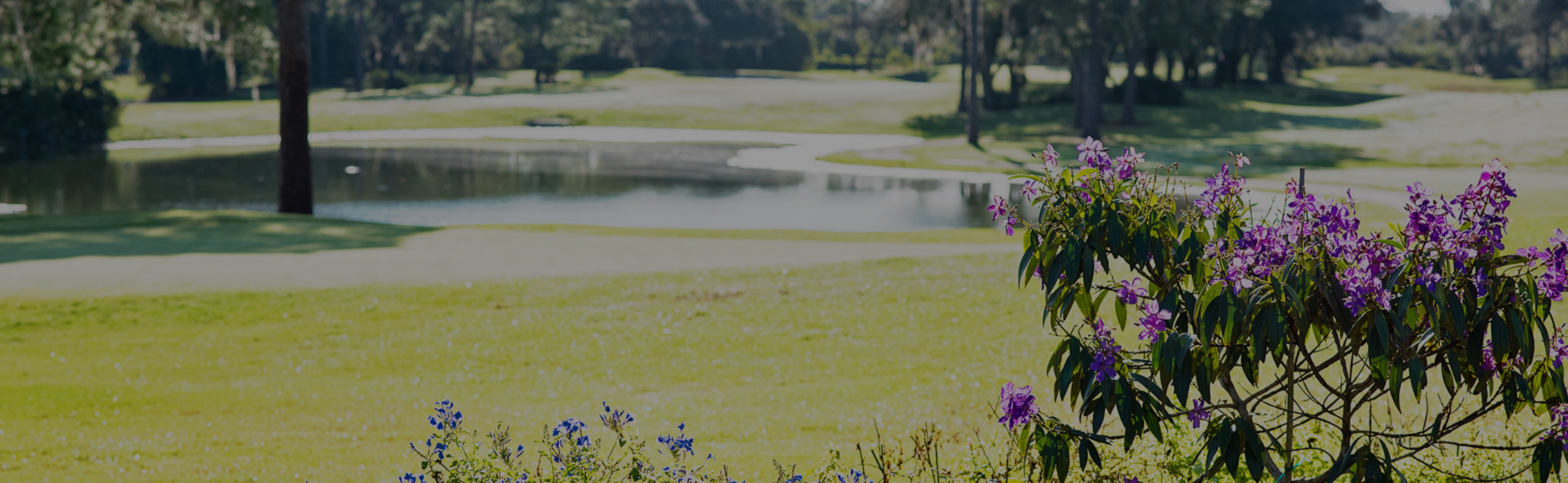 Avon Park, FL: Attractions & Things To Do