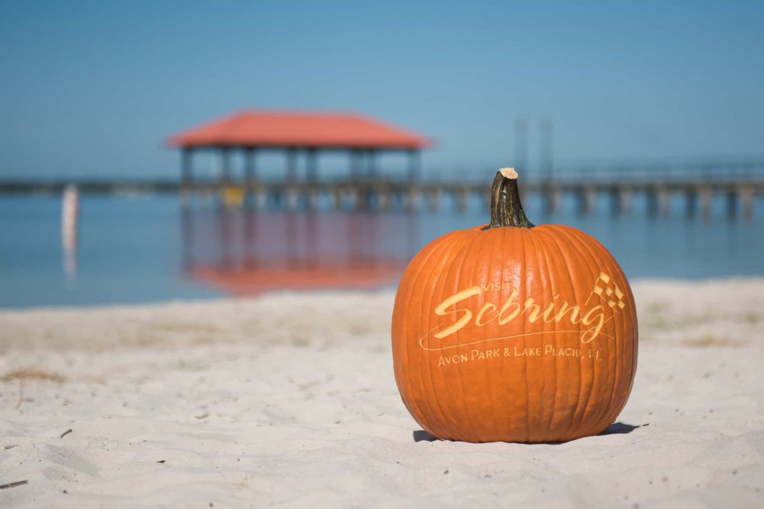 Top 10 Things To Do in Sebring, Florida | Visit Sebring